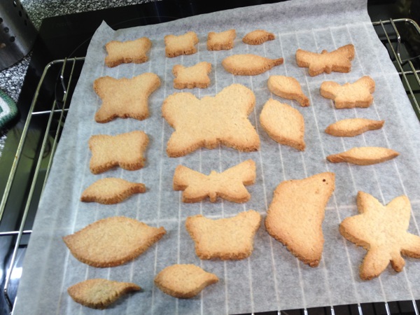 Cookies From Nature | Notes from Nature