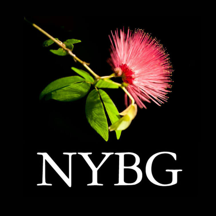 Notes from Nature – NYBG: New expeditions to uncover global plant ...