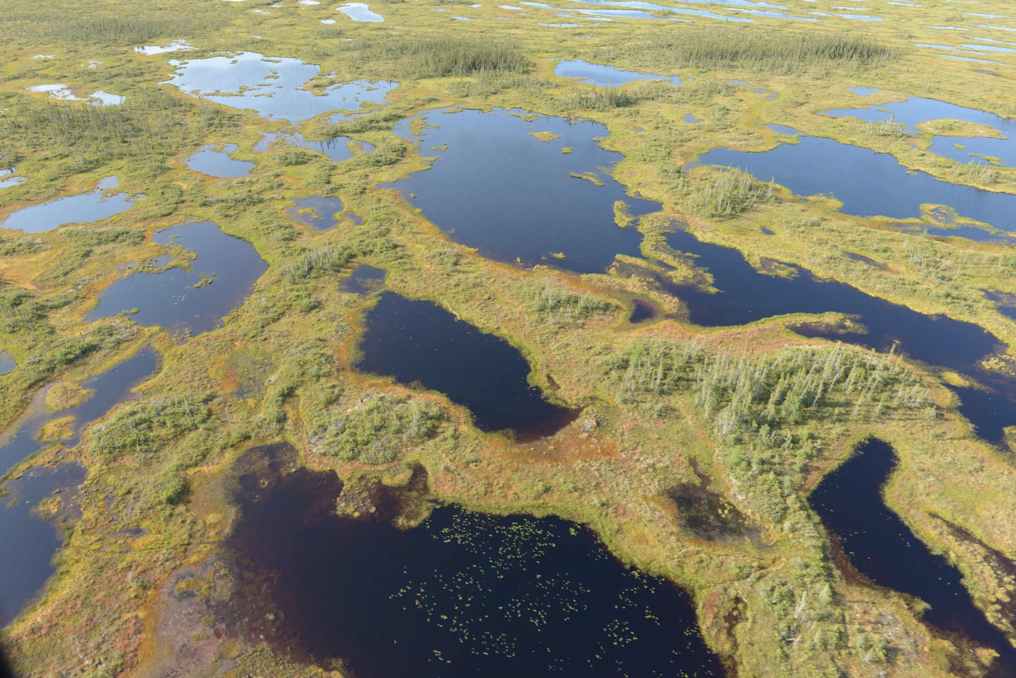 Notes from Nature | A Zooniverse Project Blog