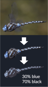 Notes from Nature | A Zooniverse Project Blog