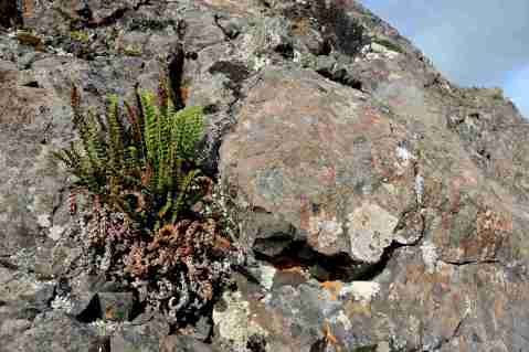 Notes from Nature | A Zooniverse Project Blog