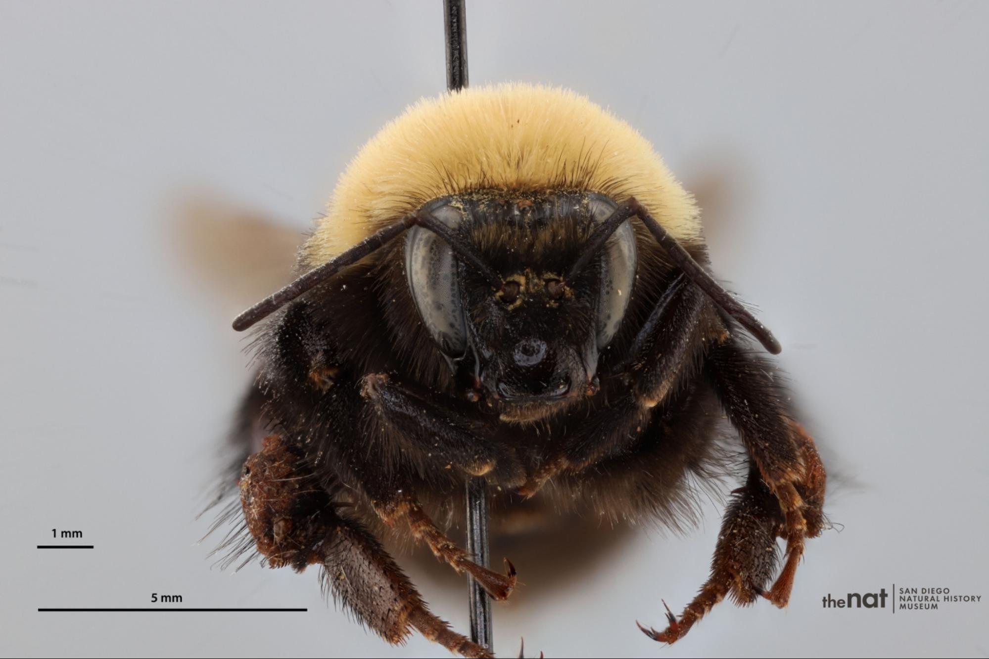 Notes from Nature | A Zooniverse Project Blog