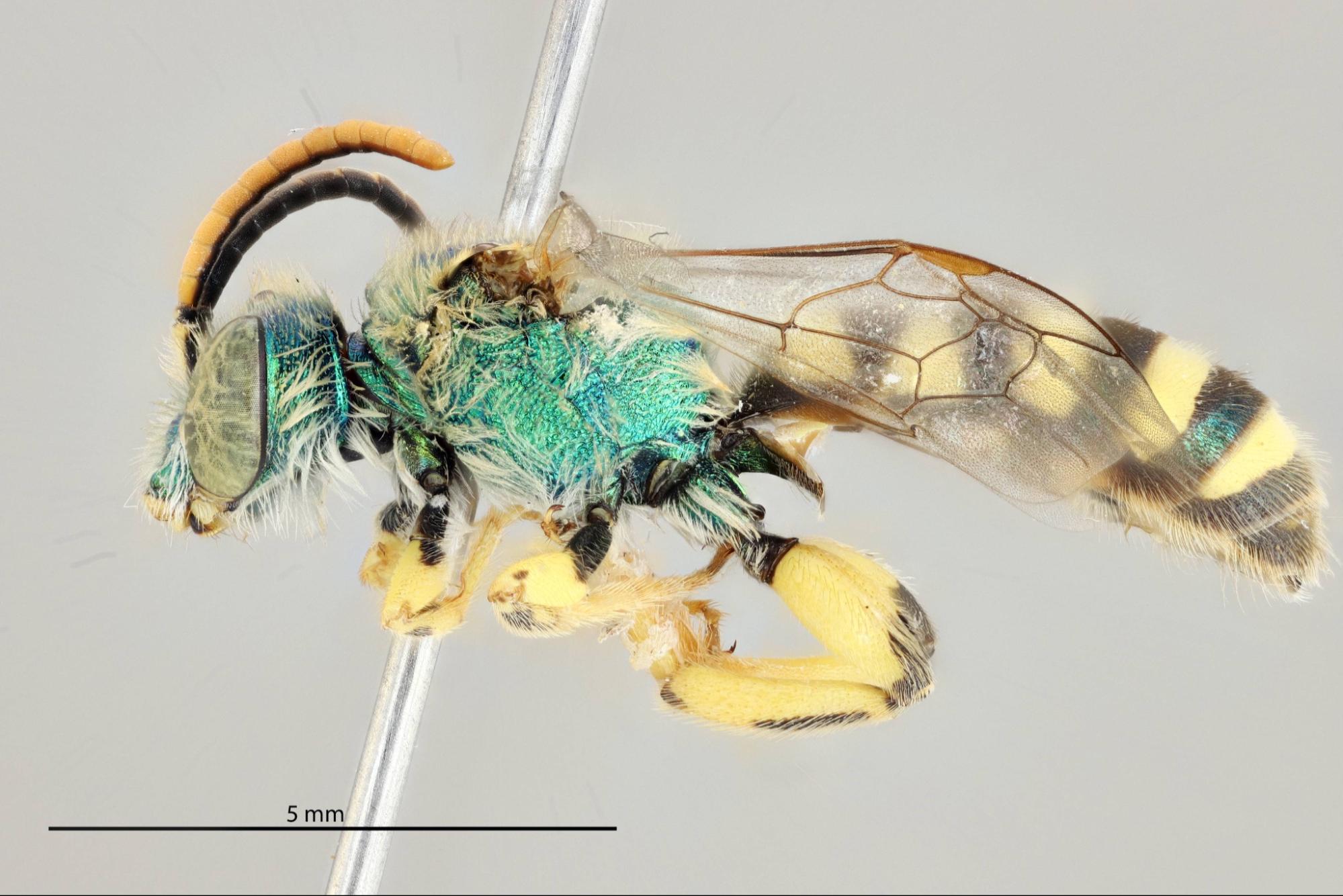 Notes from Nature | A Zooniverse Project Blog